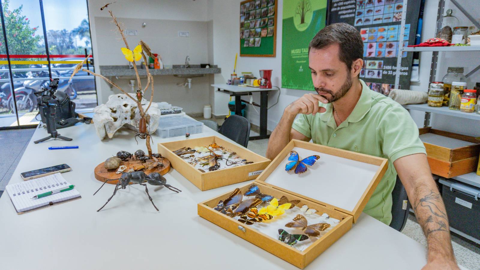 Ciência feita em Marabá transforma moscas em aliadas da Justiça ...