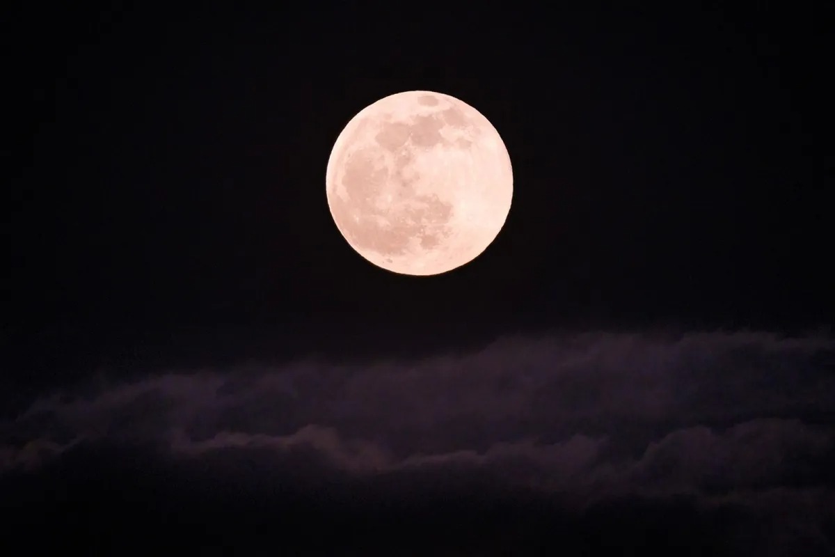 "Lua Cheia Rosa" surge no céu neste 1º de abril; entenda o significado ...